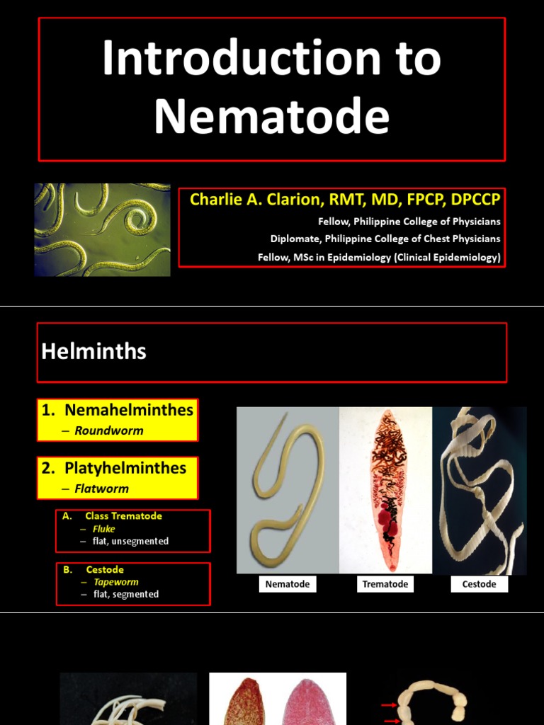 Nematode Overview: Biology and Life Cycle | PDF | Nematode | Clinical ...