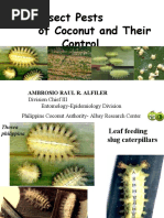 Copra Farming Calculator | PDF | Return On Investment | Coconut