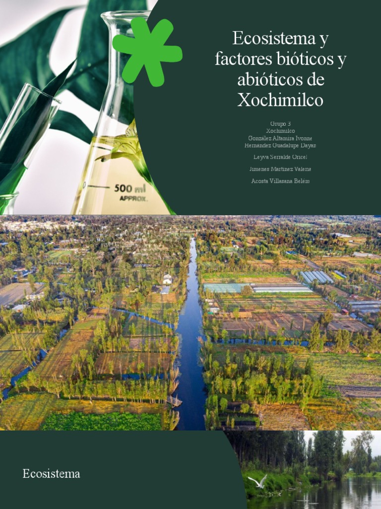 Ecosistemas y Factores Bioticos y Abioticos | PDF