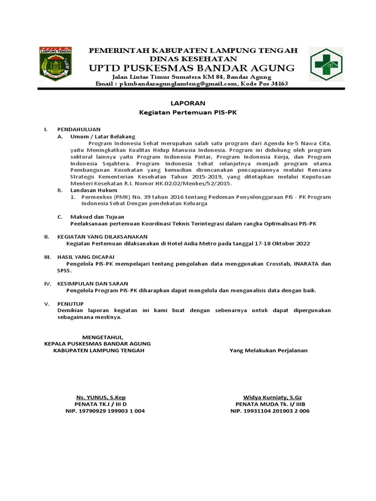Laporan Kegiatan PIS-PK dan SISDMK | PDF