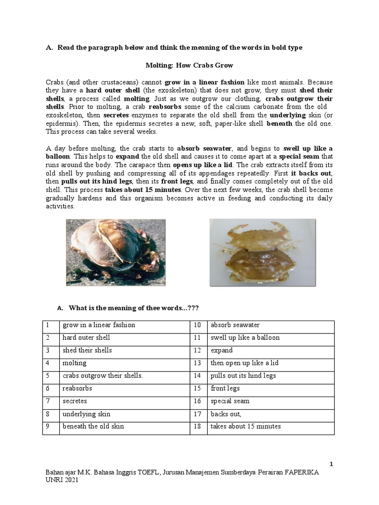 Crab Molting Process Explained | PDF | Crab | Animal Physiology