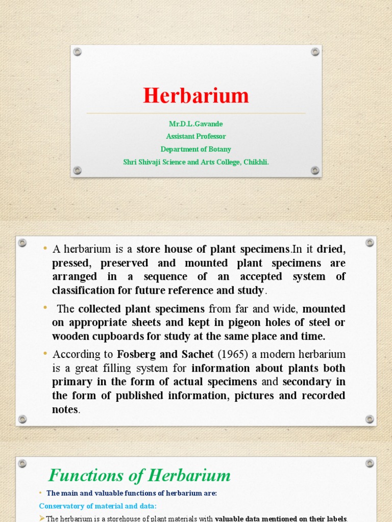Herbarium 1 | PDF | Taxonomy (Biology) | Botany