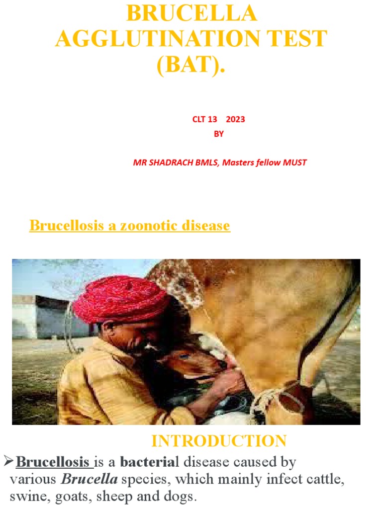Brucella Agglutination Test Overview | PDF | Medicine | Microbiology