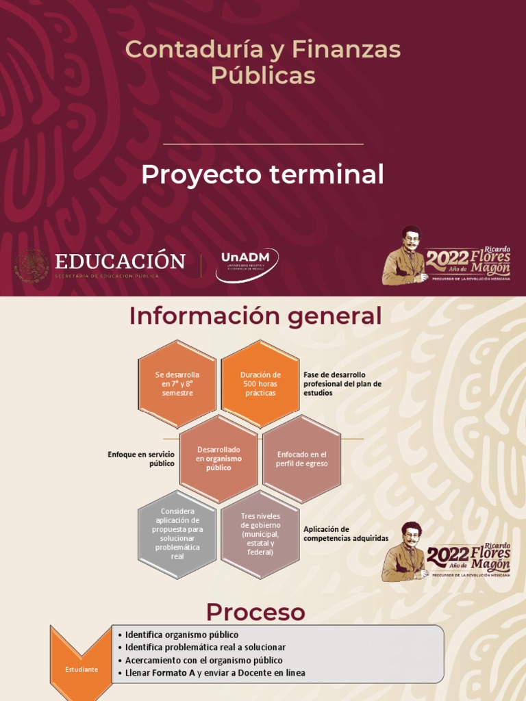 Informacion Proyecto Terminal | PDF
