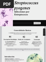 Diagnóstico y Tratamiento de Streptococcus pyogenes | PDF | Penicilina ...