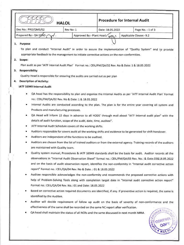 02.procedures For Internal Audit | PDF
