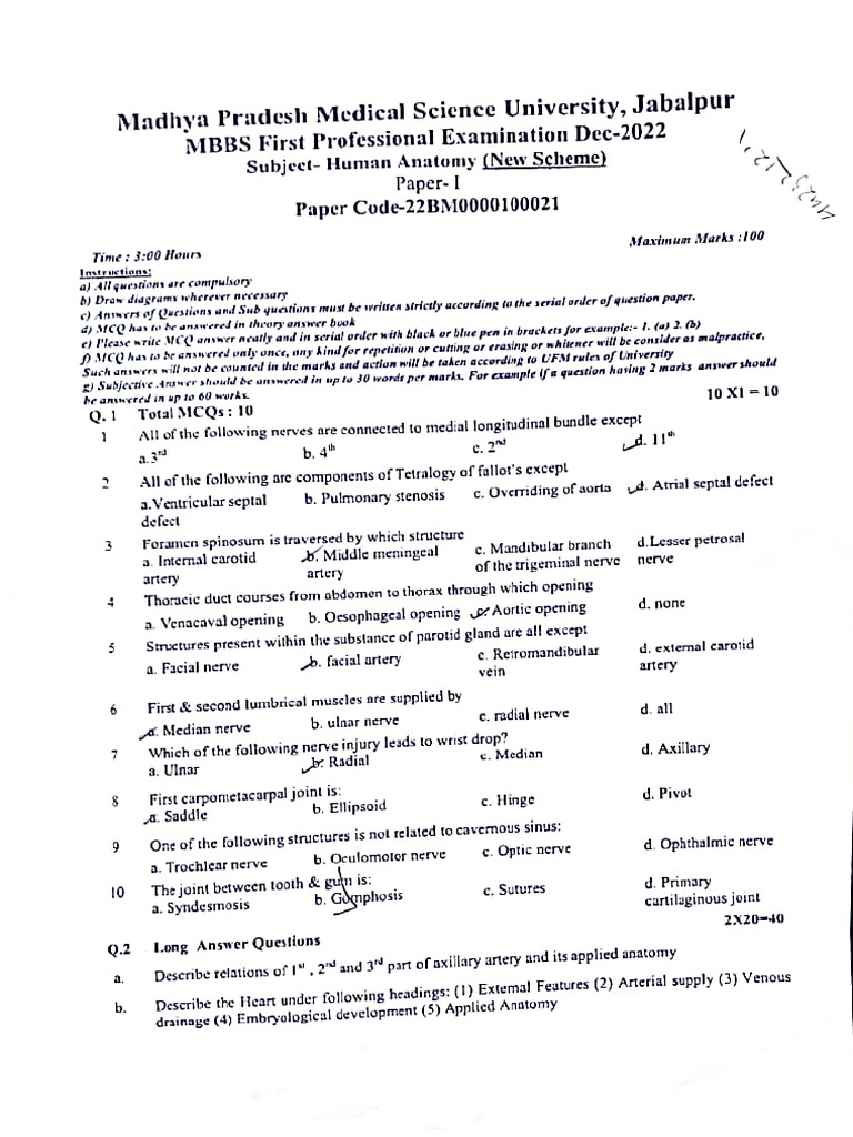 Anatomy 1st paper ( New Scheme) MPMSU | PDF