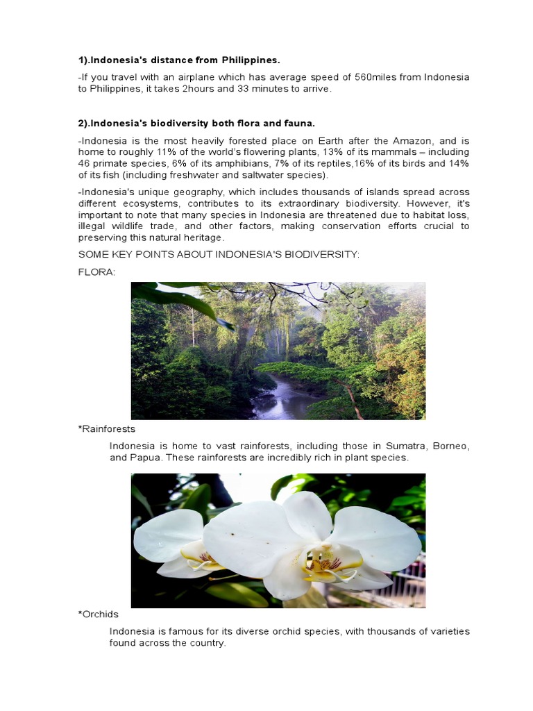 1) .Indonesia's Distance From Philippines | PDF | Indonesia | Java