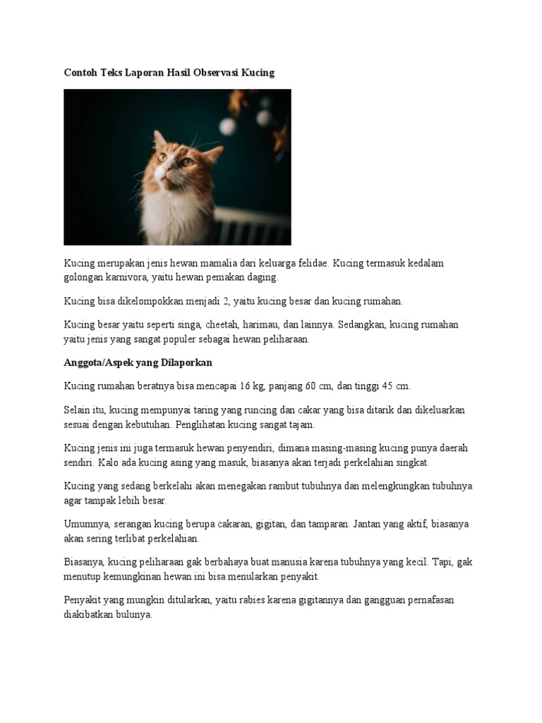 Contoh Teks Laporan Hasil Observasi Kucing | PDF