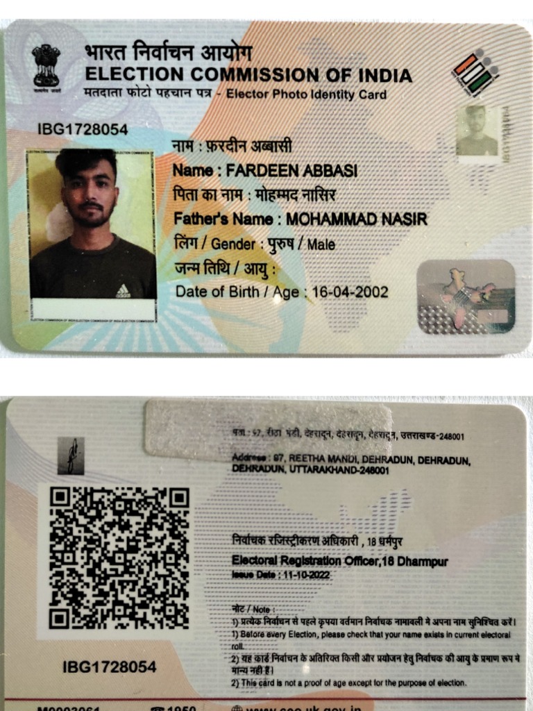 Voter ID | PDF
