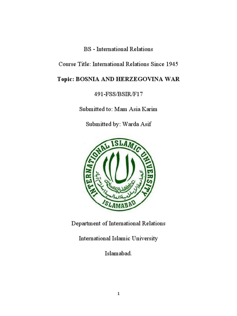 Bosnia War and Peace Process Overview | PDF | Bosnia And Herzegovina