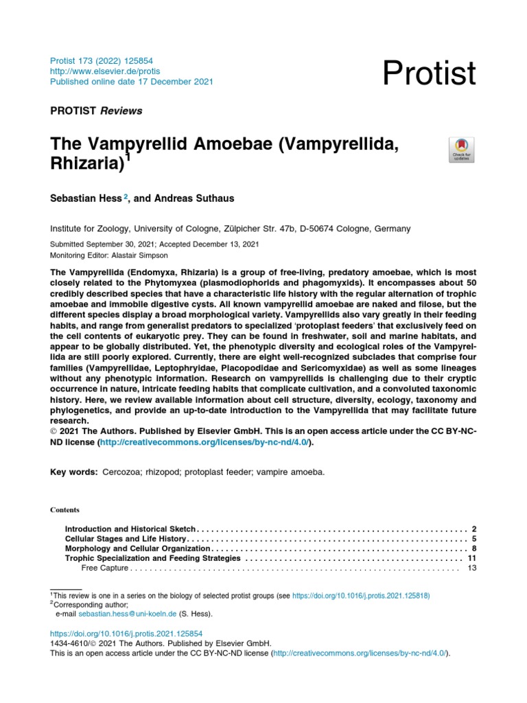 Amoeba Vampir Siklus Hidup Tanpa Satuan Waktuu | PDF | Cell Biology ...