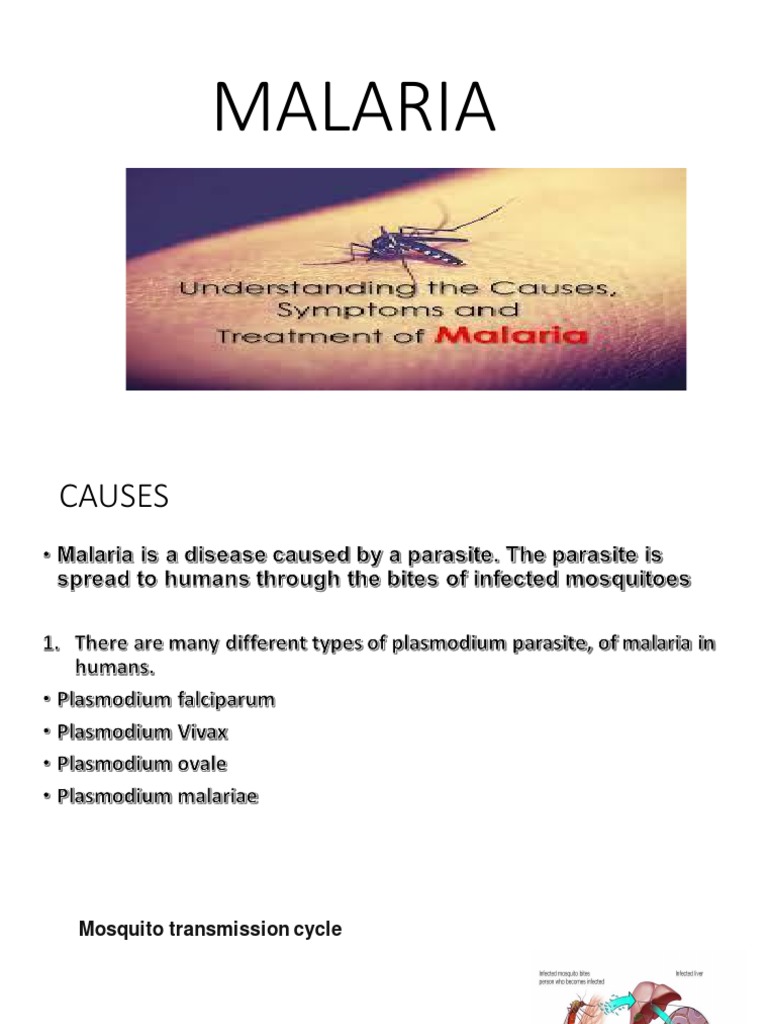 Malaria | PDF | Malaria | Mosquito