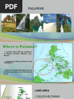 Palawan Brochure TEMPLATE | PDF | Nature