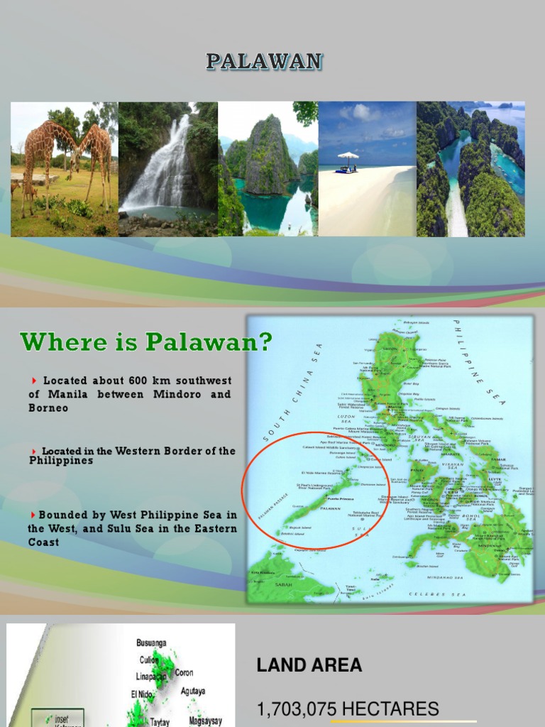 PDF Palawan Geo | PDF