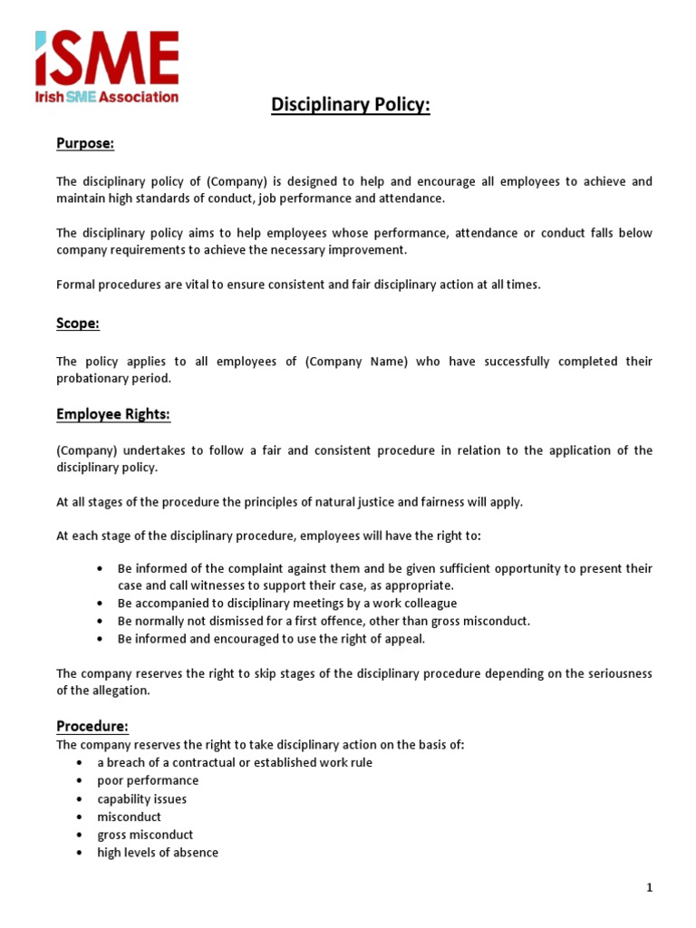 Sample Disciplinary Policy | PDF | Employment | Justice
