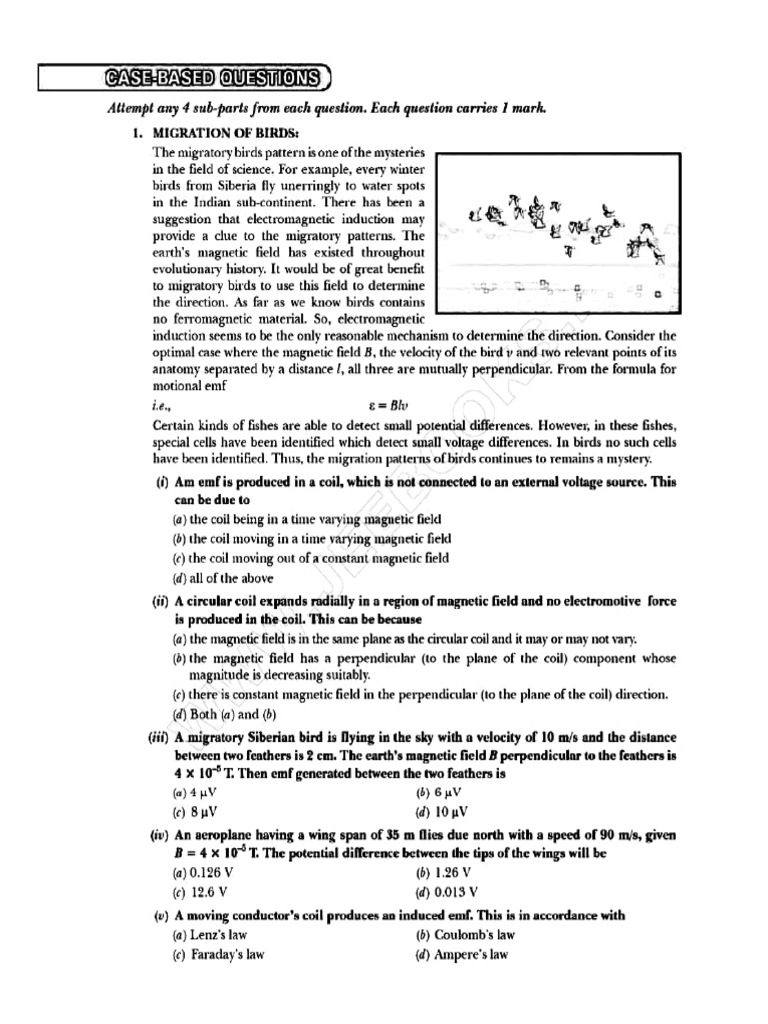 Physics Emi and Ac Worksheet | PDF