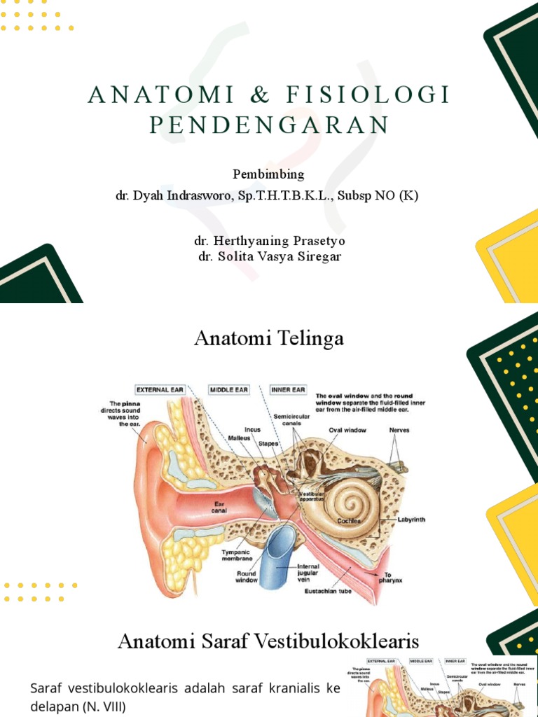 Anatomi & Fisiologi Pendengaran No | PDF