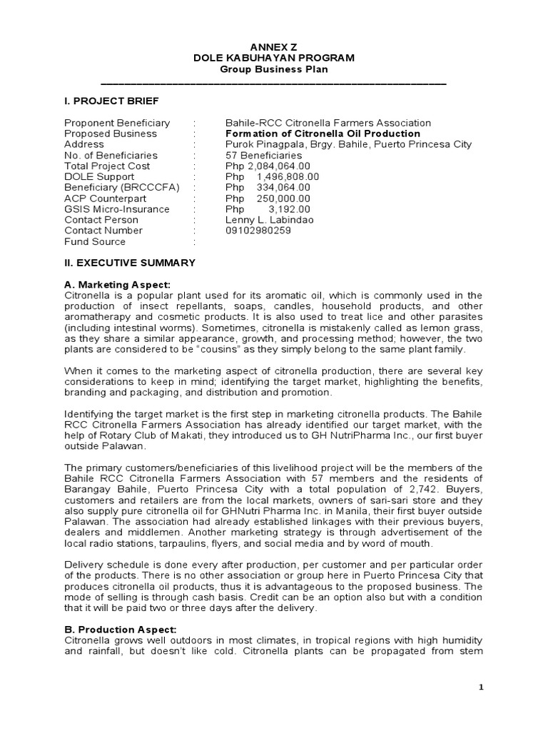 Bahile RCC Citronella Business Proposal - Revised | PDF | Filtration ...