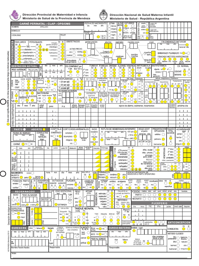 Carnet Perinatal-1 | PDF