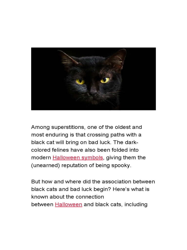 Why Black Cats Are | Download Free PDF | Witchcraft | Cats