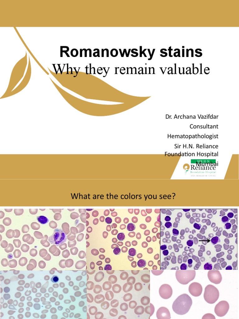Romanowsky Stain DR Archana | PDF | Staining | White Blood Cell