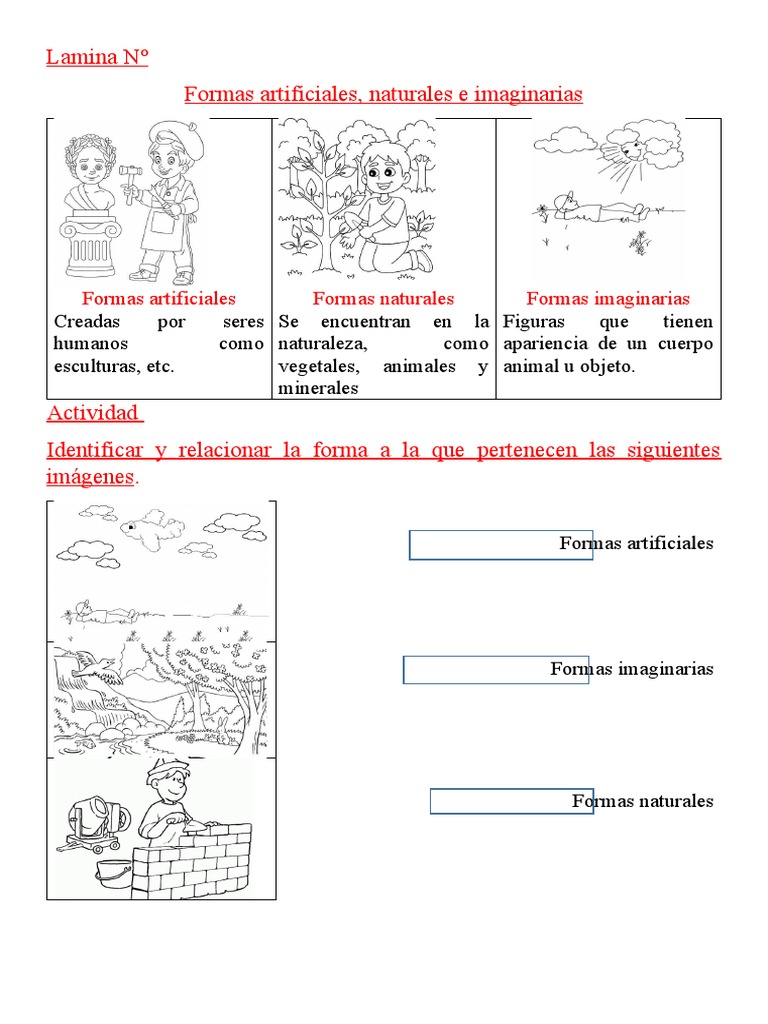 Formas Artificiales, Naturales e Imaginarias | PDF