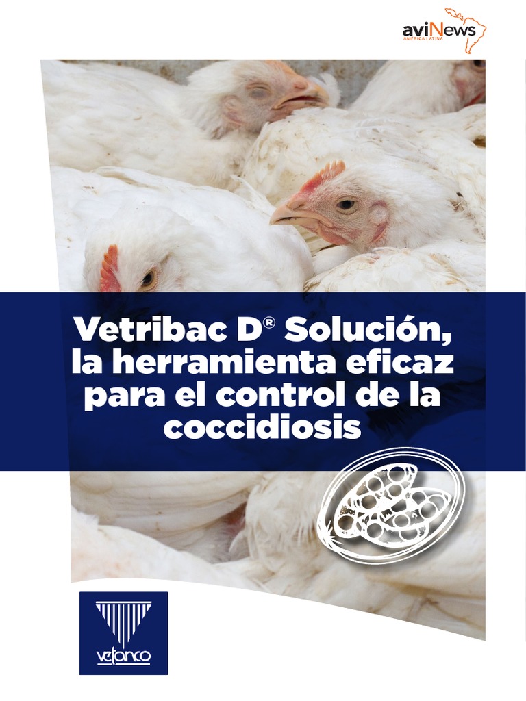 Coccidiosis Con Vetribac | PDF | Diarrea | Especialidades Medicas