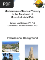Mechanisms of Manual Therapy Handout | PDF | Manual Therapy | Pain