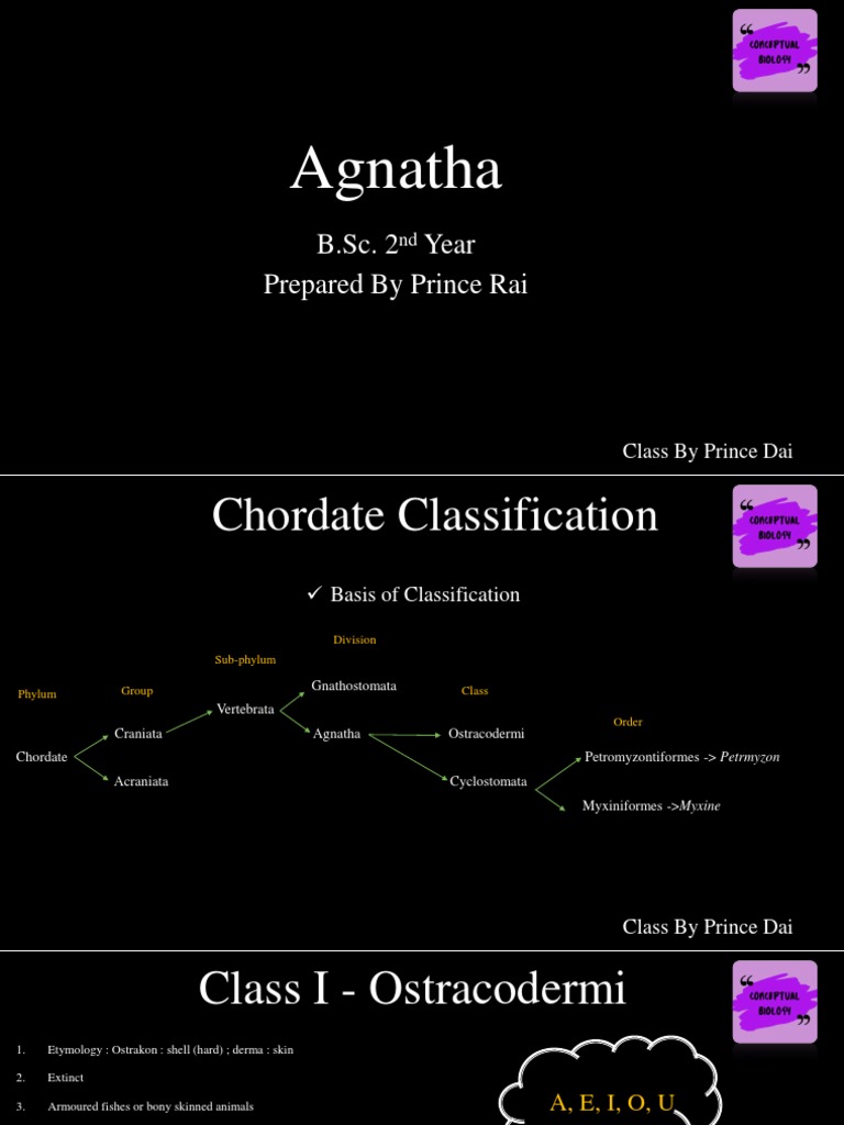 Agnatha | PDF | Vertebrates | Fish
