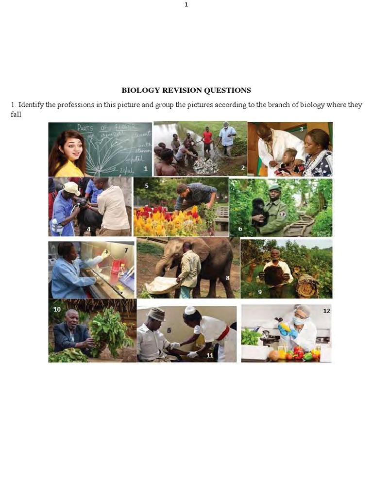 Biology Integration Activities and Questions | PDF | Organisms ...