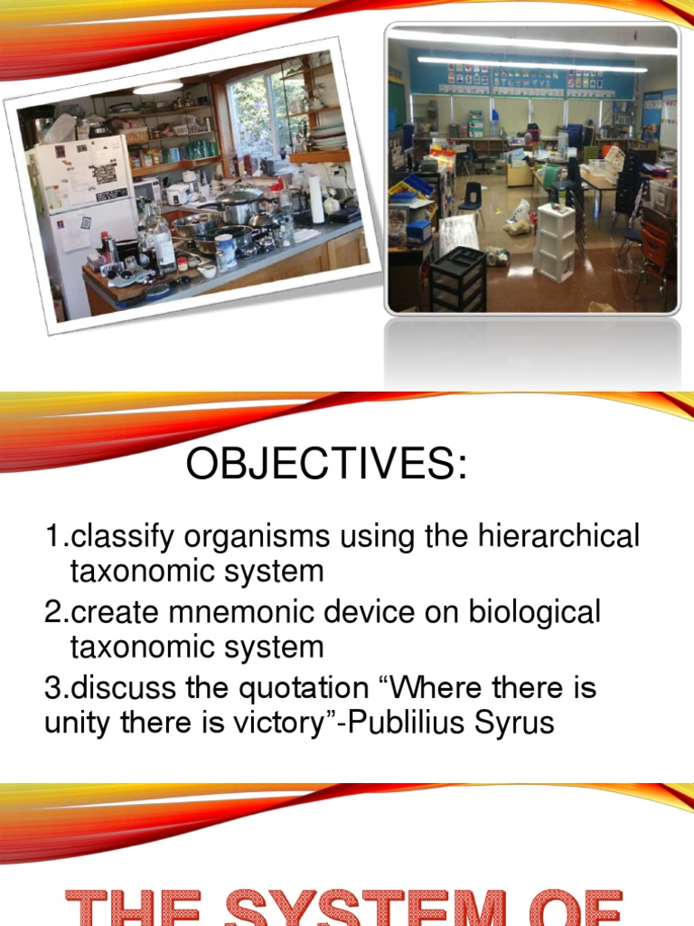 System Of Classification 171007024939 Jona Pdf Taxonomy Biology