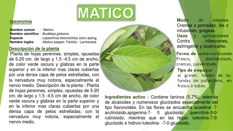 MATICO | PDF