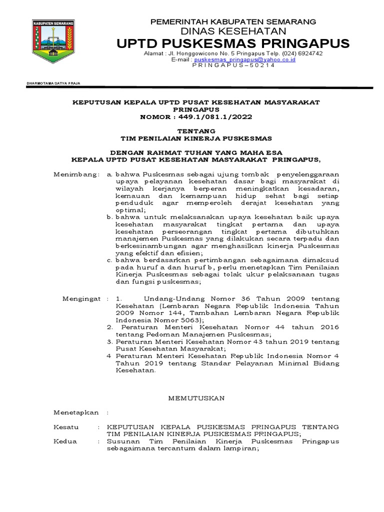 SK Tim PKP Puskesmas | PDF