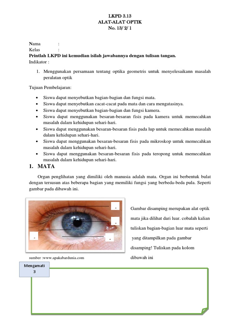 Alat Optik dan Fungsi Bagian Mata Kelas 8 | PDF