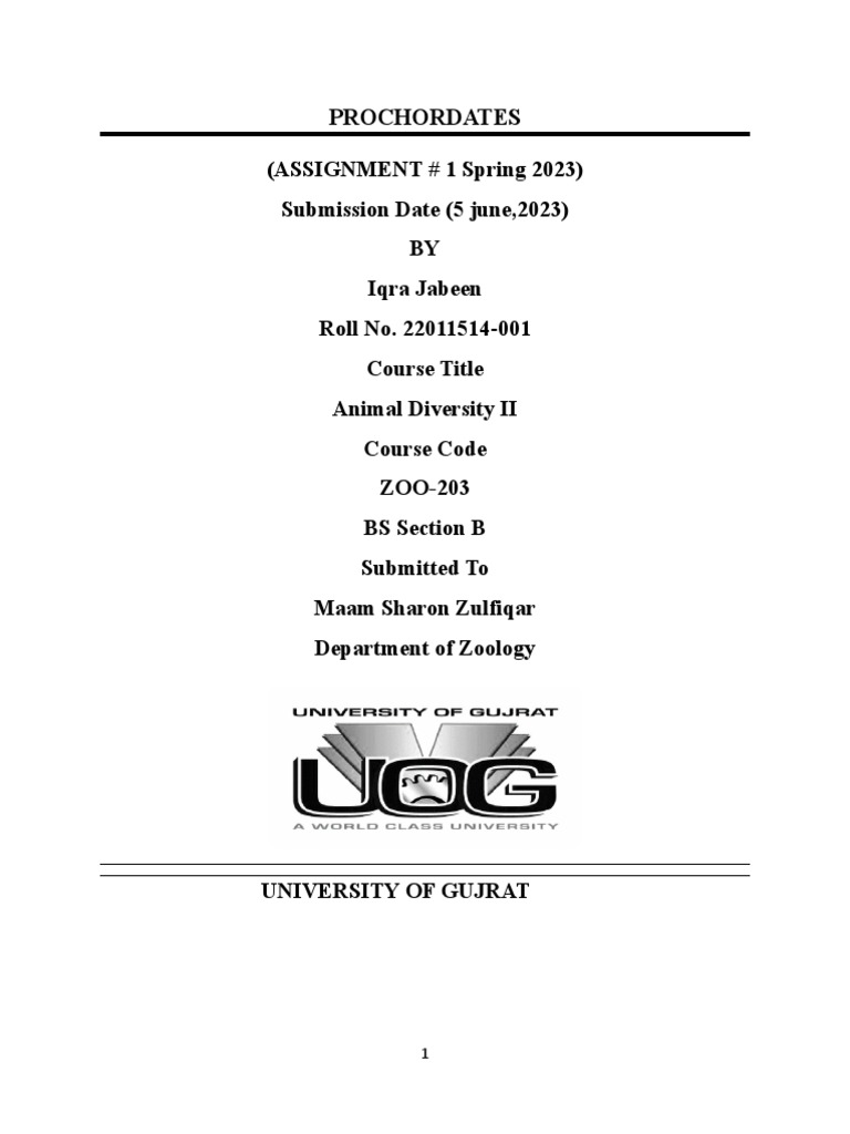 Overview of Protochordates and Acorn Worms | PDF | Anatomy