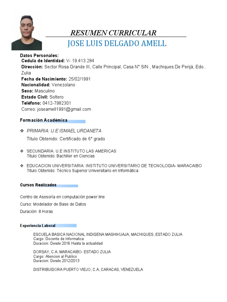Currículum de José L. Delgado Amell | PDF