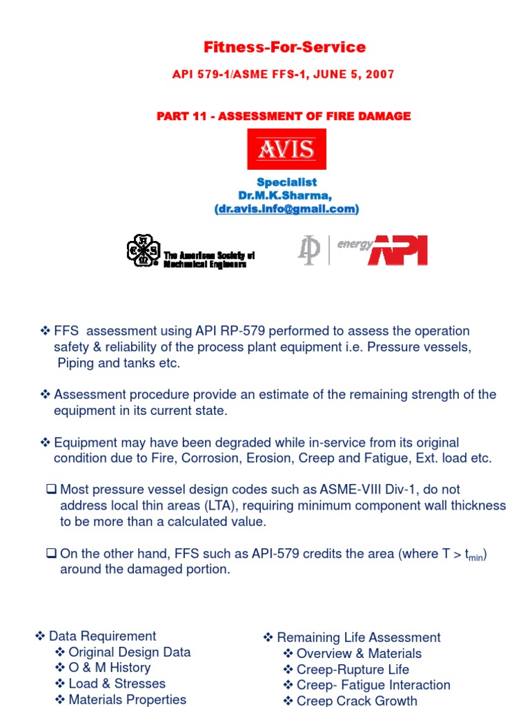 AVIS-FFS Approach & Methodology | PDF | Elasticity (Physics) | Young's Modulus