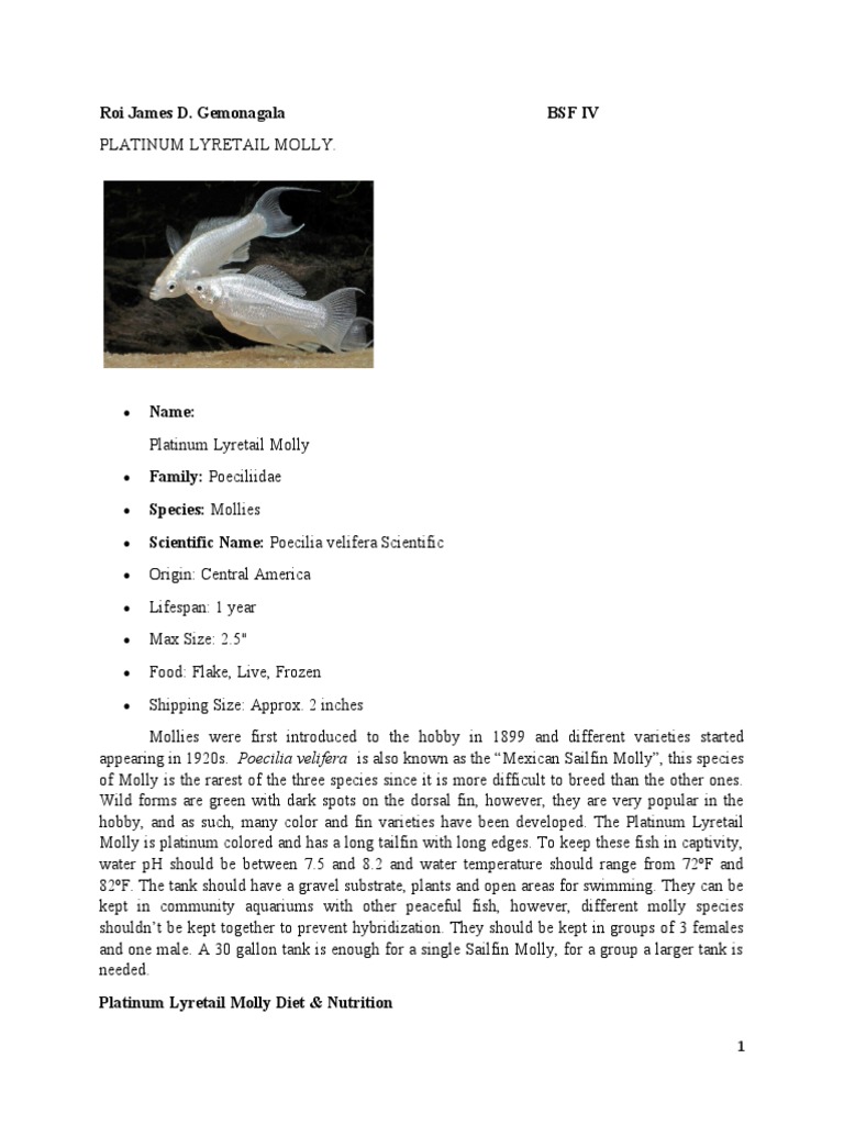 Mam Pam | PDF | Spawn (Biology) | Aquarium