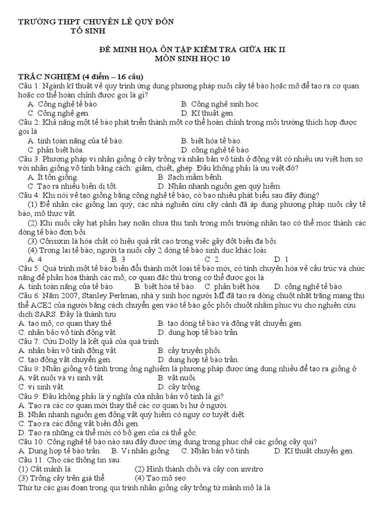 De Minh Hoa 10 | PDF