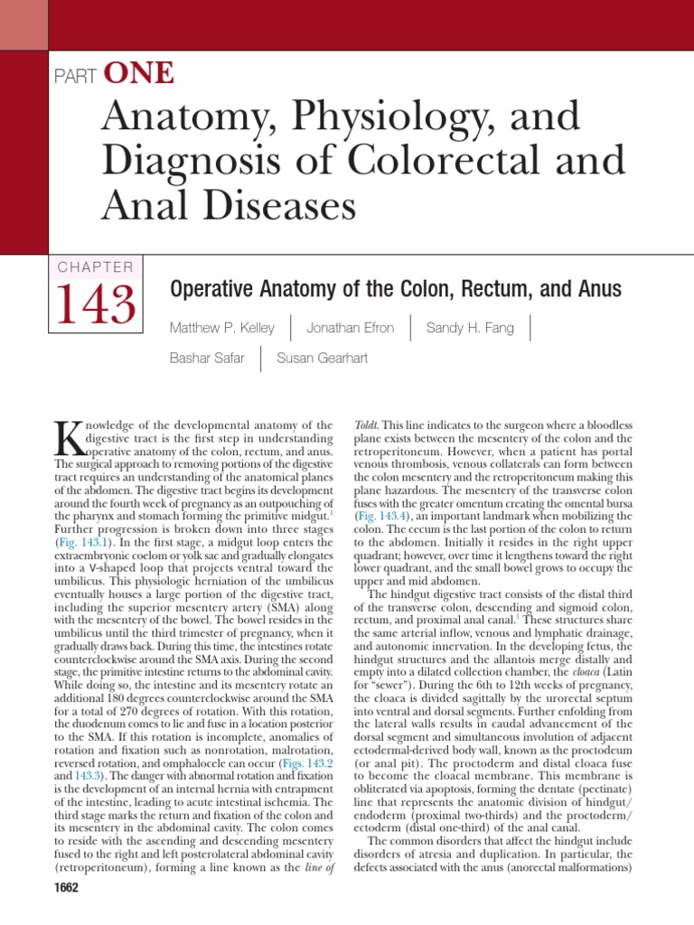 Anatomy Physiology and Diagnosis of COlorectal | PDF | Large Intestine ...