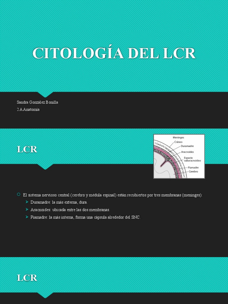 Citología Del LCR Tema | PDF