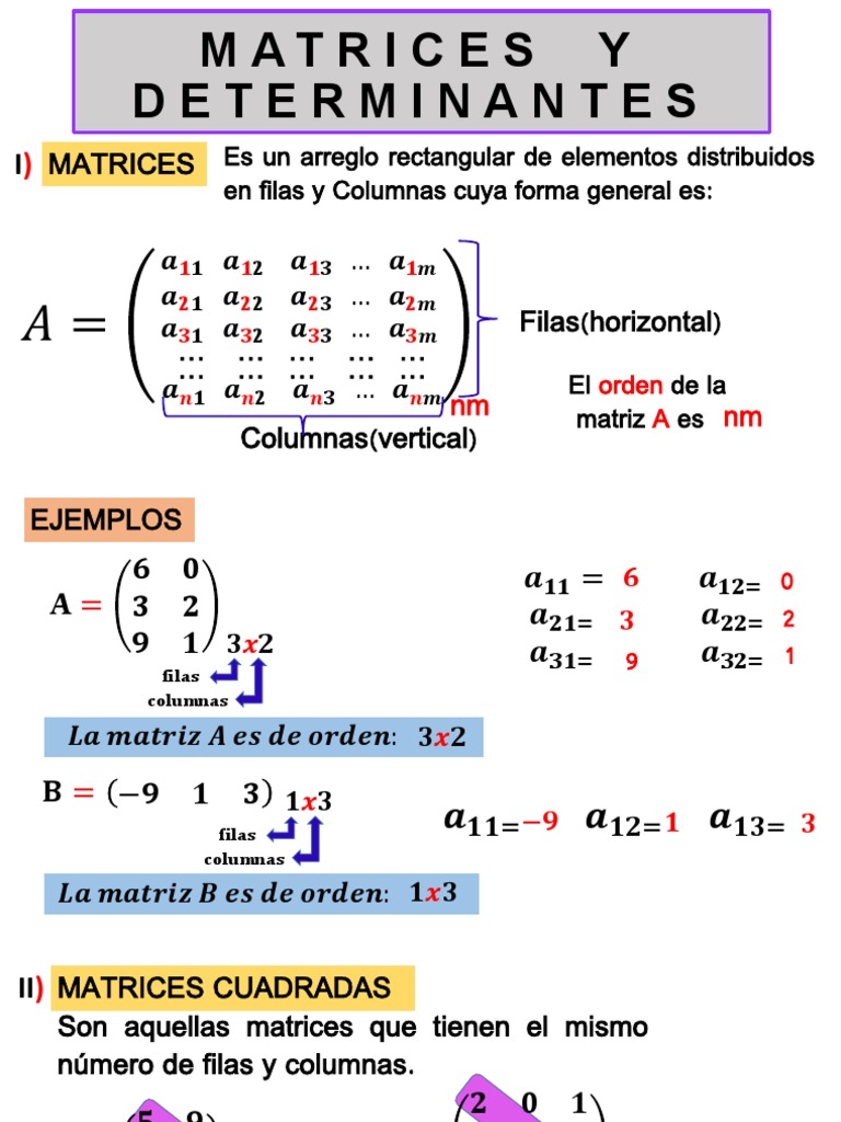 Matrices Y Determinantes Intro 1 Pdf Matriz Matemáticas Determinante