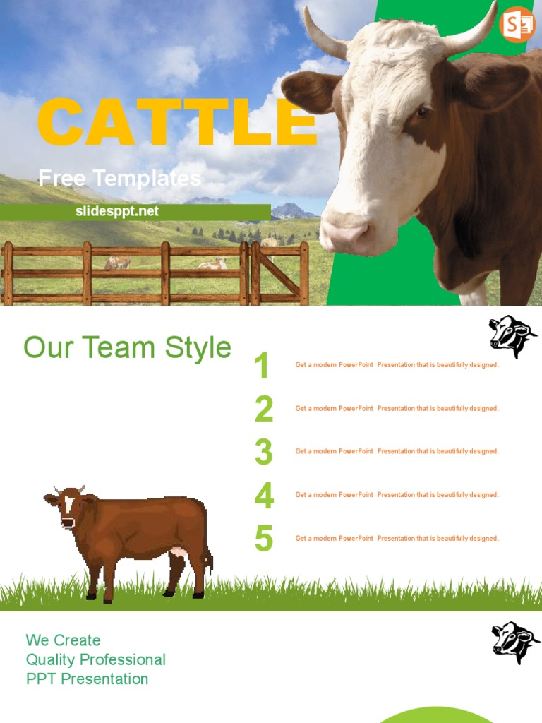 Cattle: Free Templates | PDF | Microsoft Power Point | Software