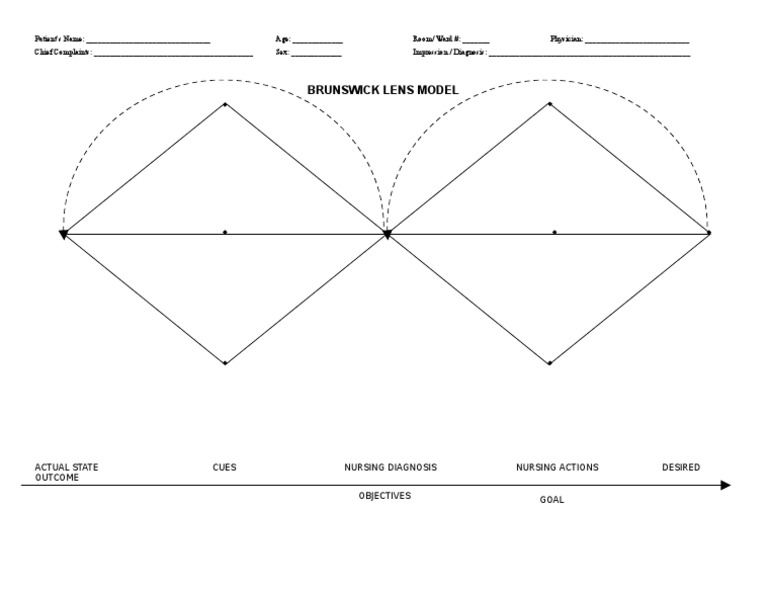 Brunswick Lens Model Sample Outline | PDF