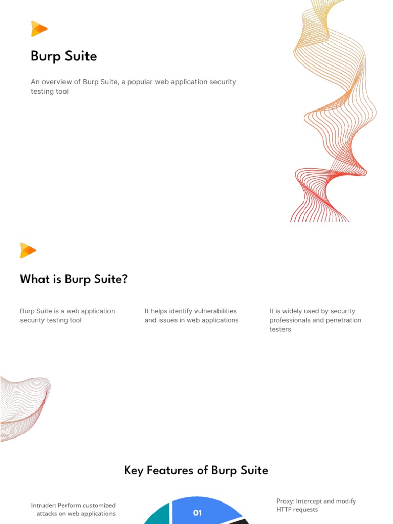 Burp Suite | PDF