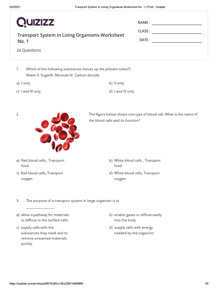 Transport Systems in Organisms Quiz | PDF | Vein | Artery