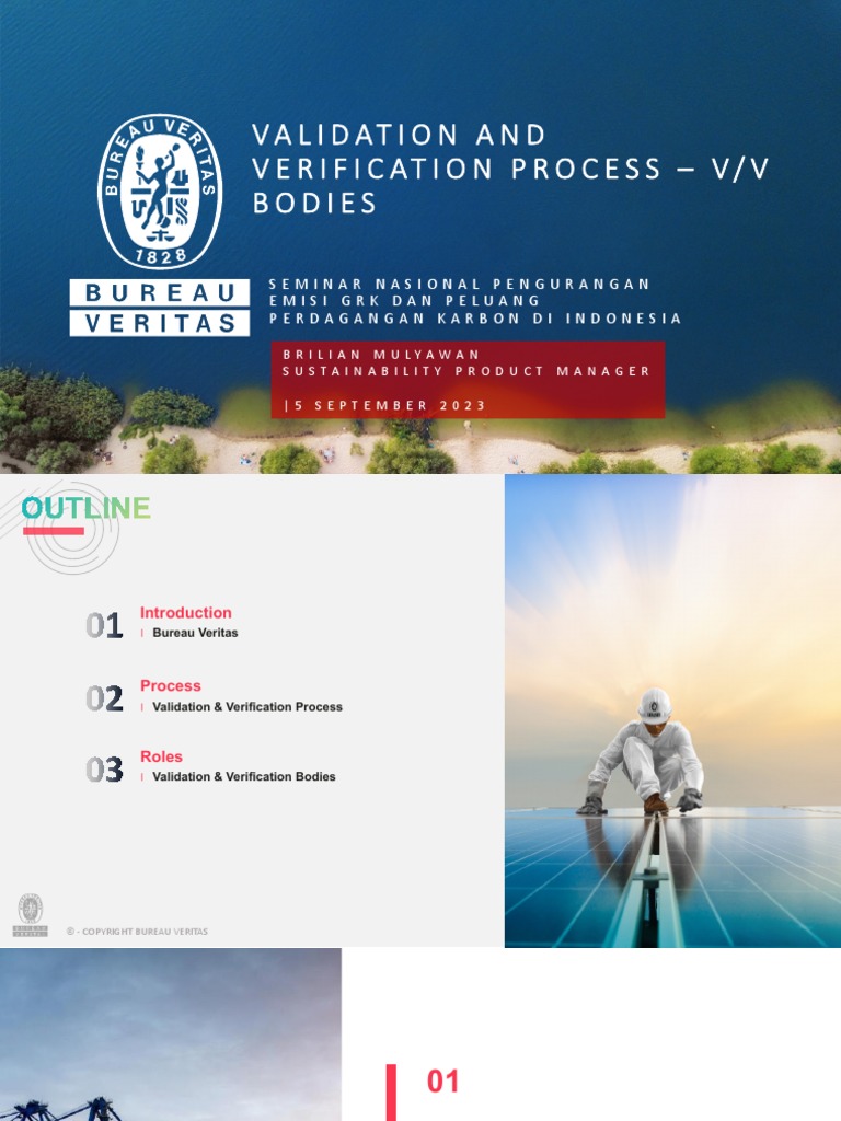 Bvi Bv Validation And Verification Process Lvv Pdf Carbon