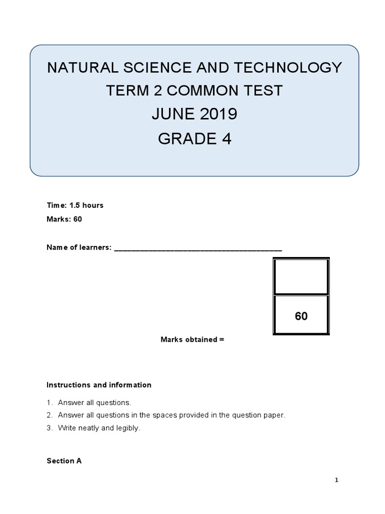 Nstech Grade 4 June 2019 1 | PDF