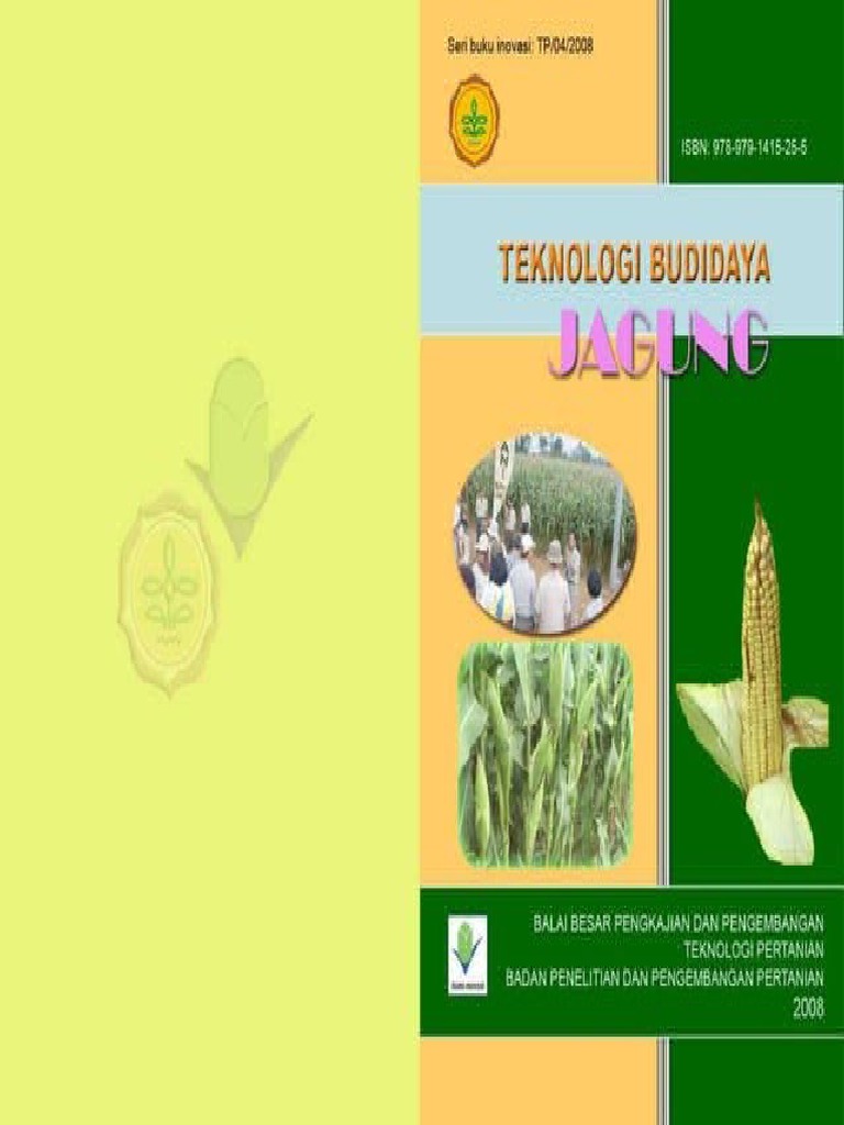 Budidaya Jagung | PDF